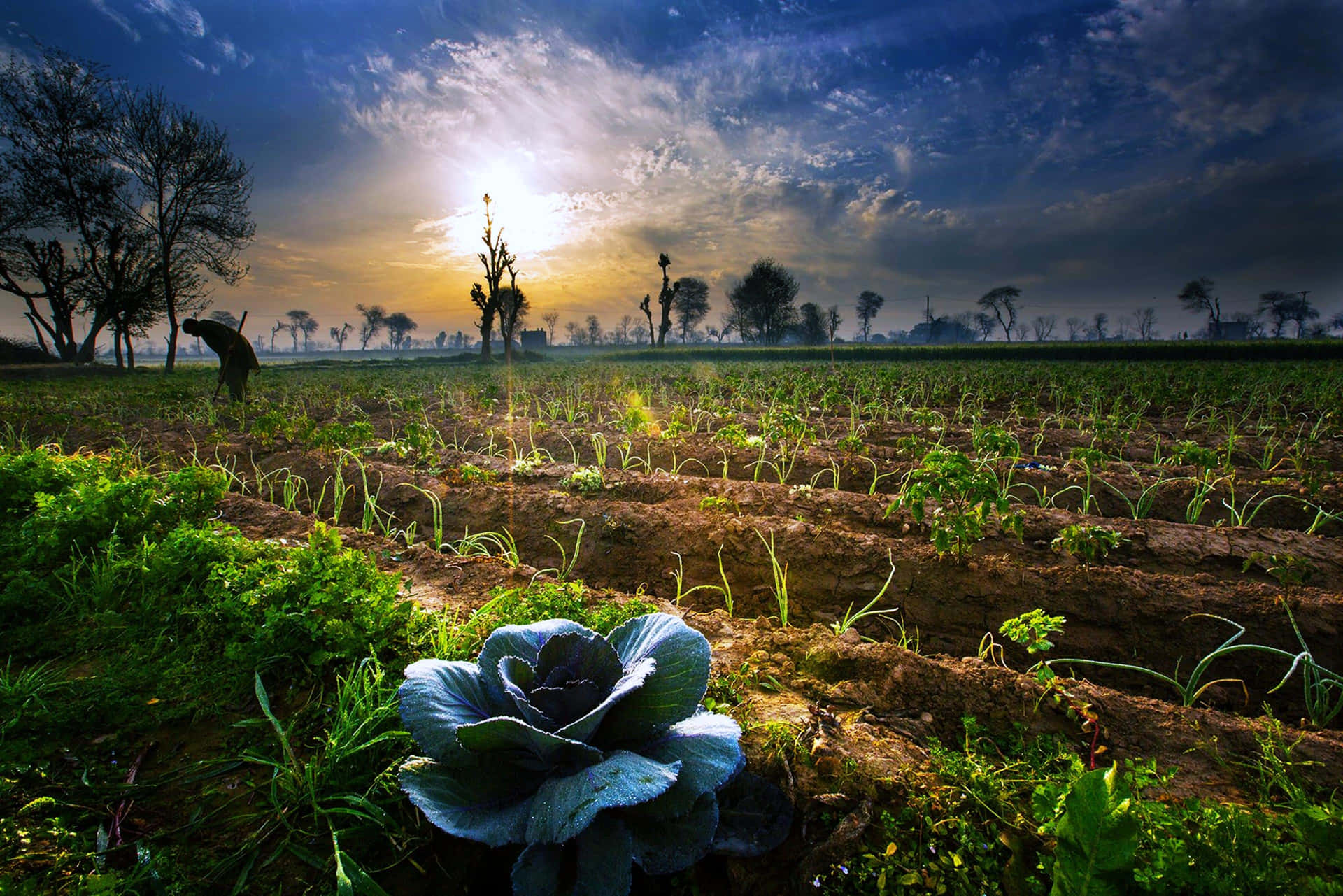 Crop Recommendation System